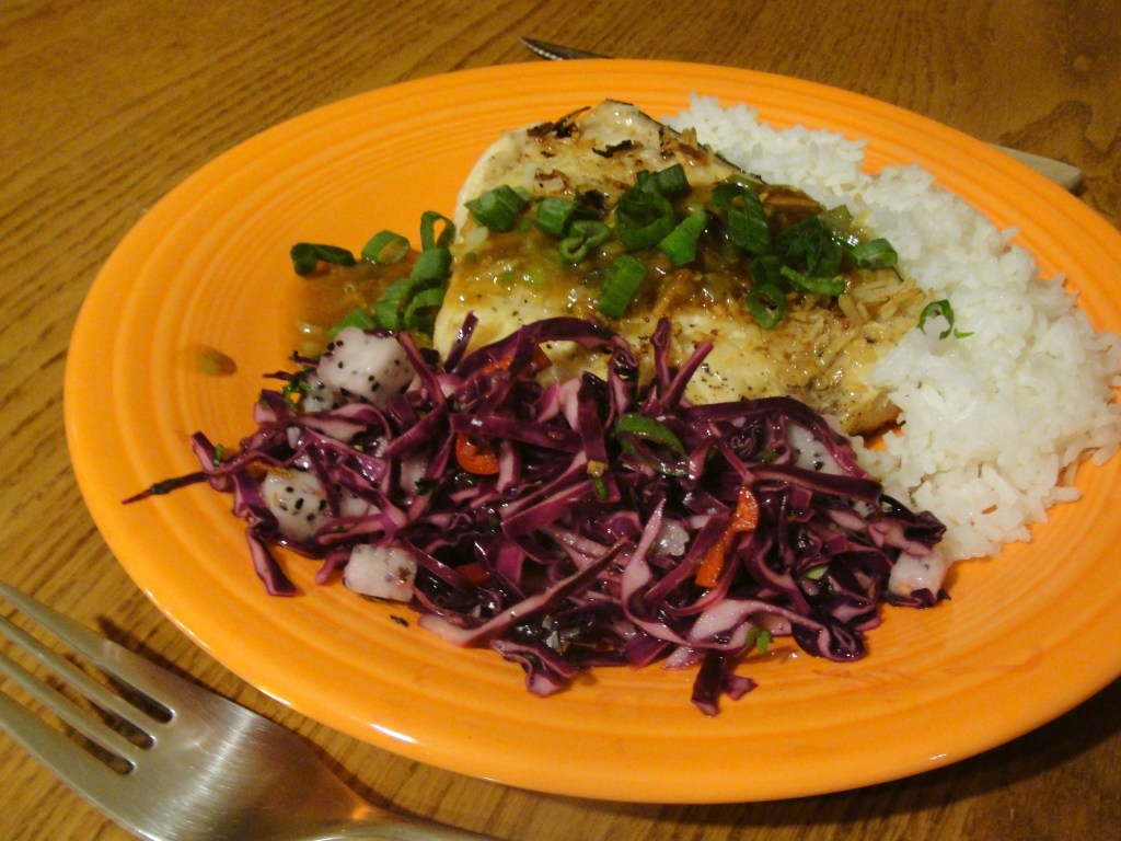 Coconut-Crusted Swordfish with Dragon Fruit Slaw | Kitchen Convivial